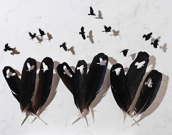 Feather Dioramas par Chris Maynard : Gravures sur Plumes d'Oiseaux ...
