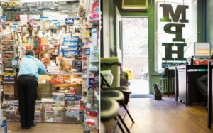 A la Rencontre des Chats dans les Boutiques de New York - MaxiTendance