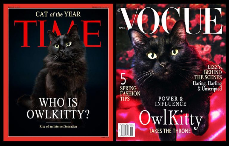 Le Chat OwlKitty Lizzy s'Incruste dans les Films Cultes (video ...