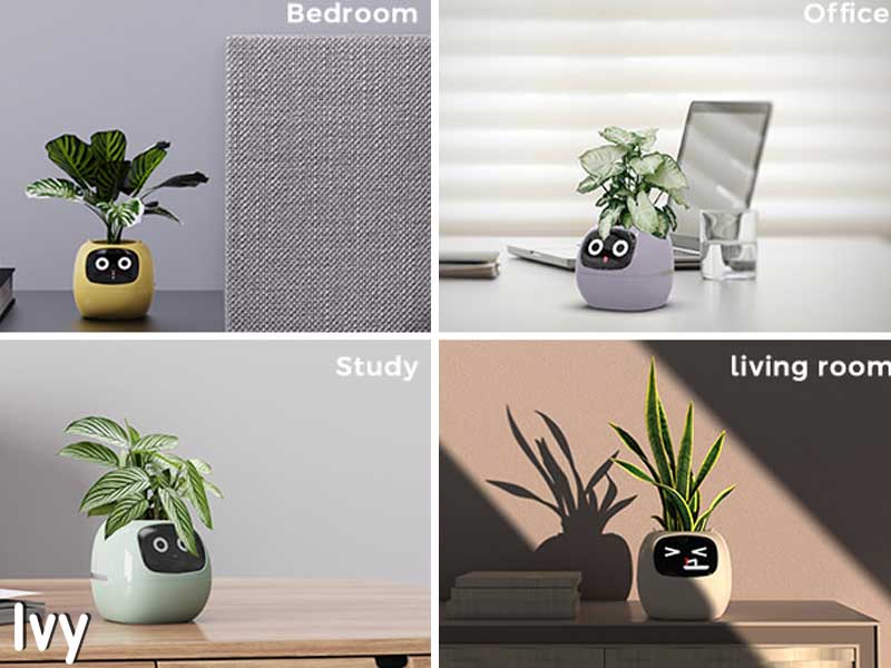 Ivy, Pot de Fleurs AI Connecte pour vos Plantes et Vous (video ...