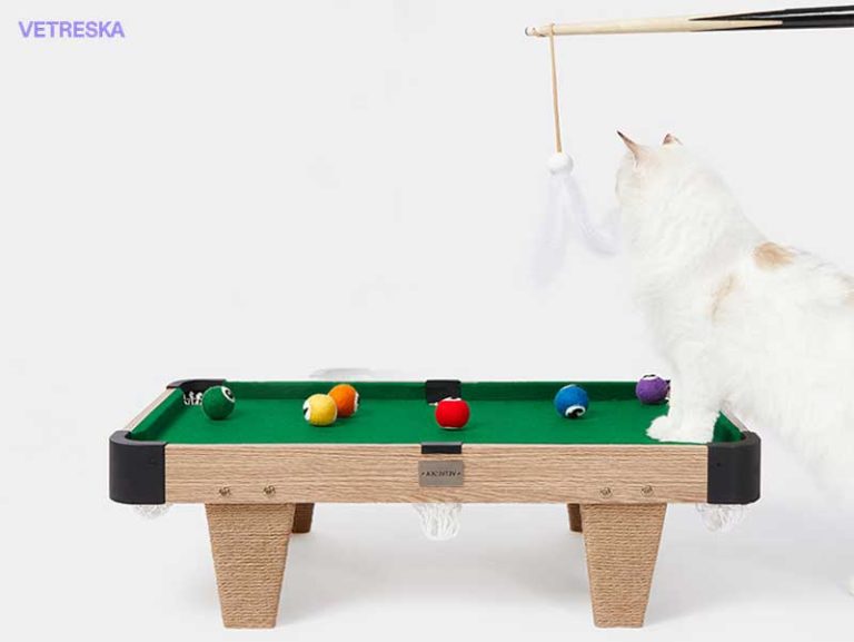 Meownooker, Mini Billard Interactif pour Chats - MaxiTendance