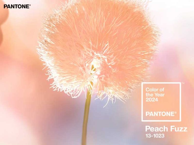 Pantone Peach Fuzz, Une Couleur Pêche pour l'Année 2024 - MaxiTendance